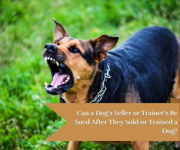 Can a Dog’s Seller or Trainer’s Be Sued After They Sold a Dog?